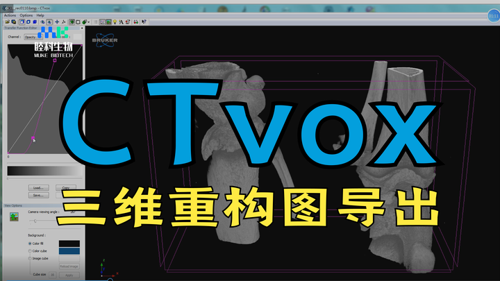 睦科生物实操视频+图文 | Micro CT/小动物CT三维重构图的导出操作演示 - 知乎