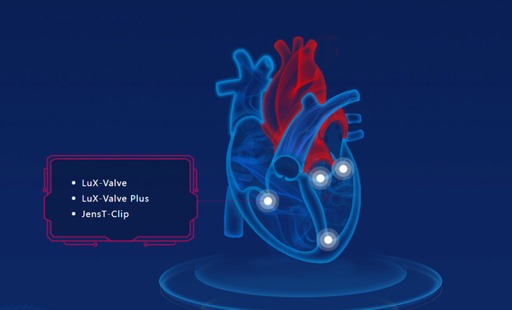 健世科技-B(09877)：LUX-VALVE PLUS的早期可行性研究PRE-SUBMISSION获FDA受理 - 知乎