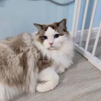 docker配置镜像Docker pull时报错：https://registry-1.docker.io/v2/ - 知乎