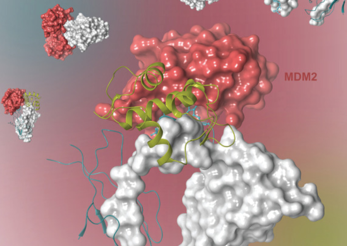 纳米抗体（Nbs）在CAR-T细胞疗法中的应用 - 知乎