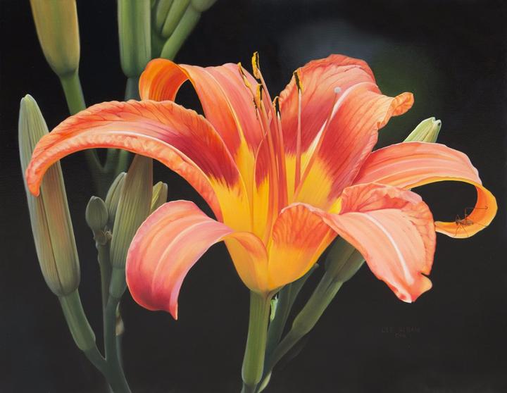 艺术家李·奥尔本（Lee Alban）绘画作品 - 知乎