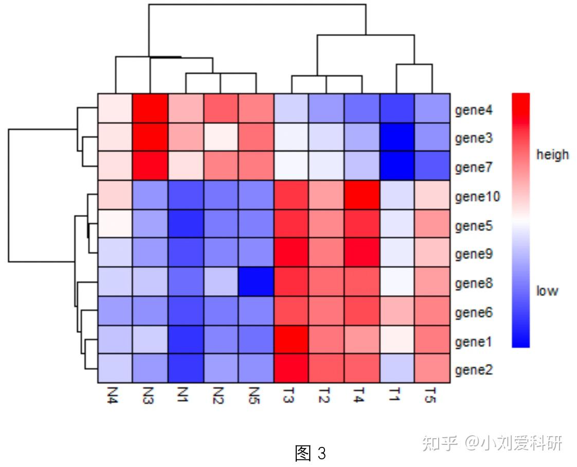 R语言——使用pheatmap包绘制热图过程详解 - 知乎