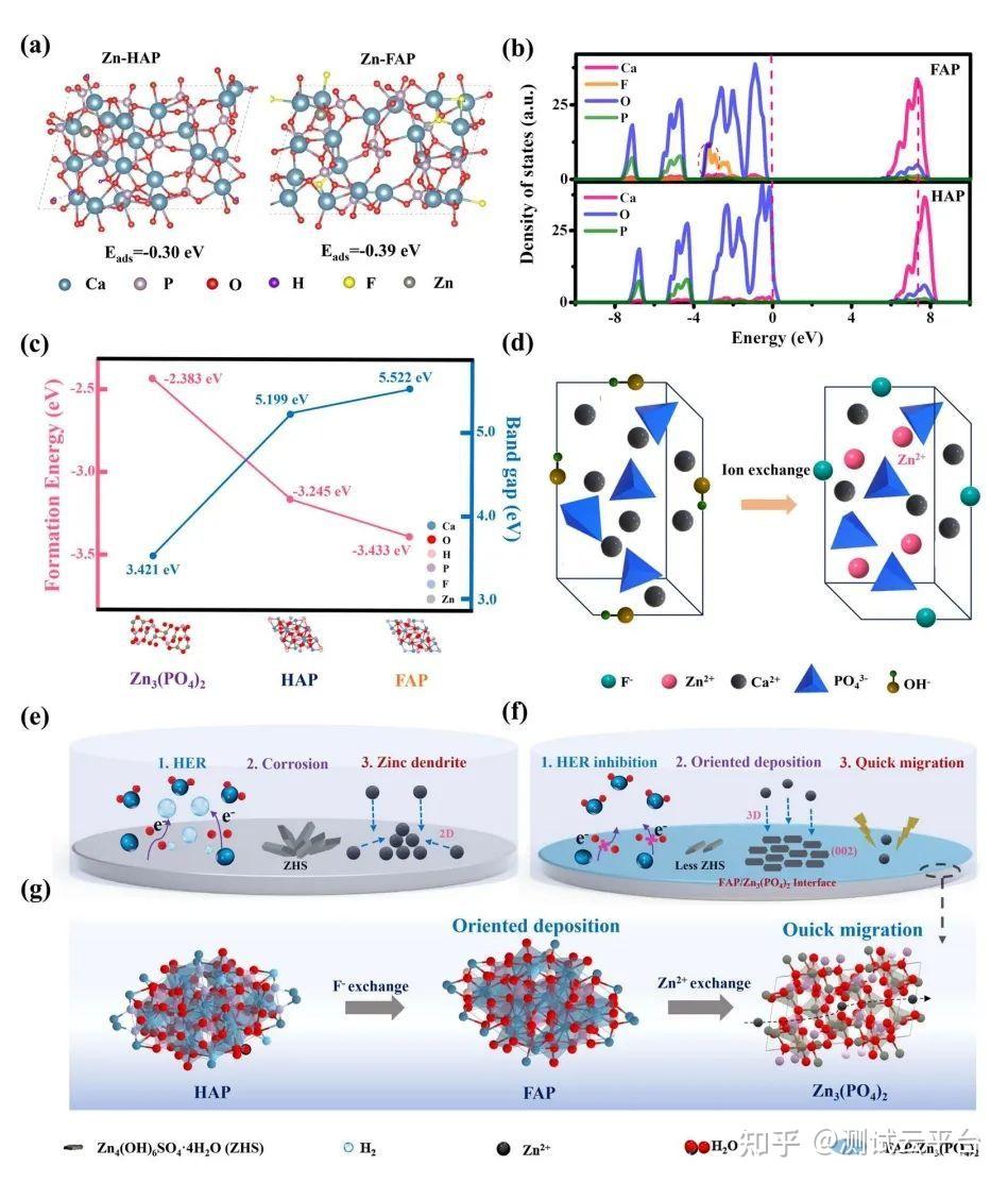 Angew：氟化固态电解质界面层引导水系锌电池中锌离子均匀沉积 - 知乎