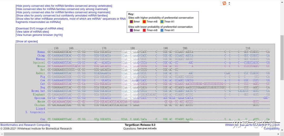 如何预测miRNA的靶基因（TargetScan） - 知乎