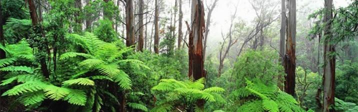 英语一问一答（106） To say nothing of 与 needless to say 用法有何区别 ？ - 知乎