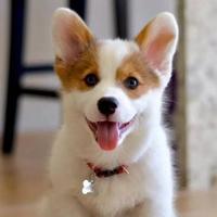 MLOps（七）Ray vs Spark —分布式计算的未来 - 知乎