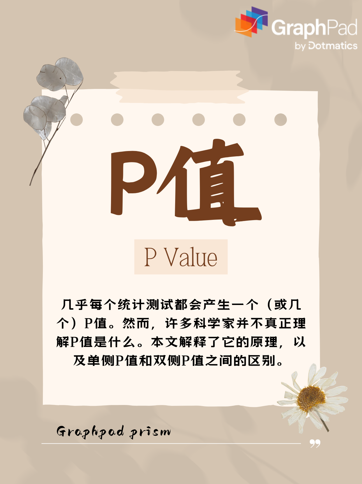 GraphPad Prism P值 P Value - 知乎