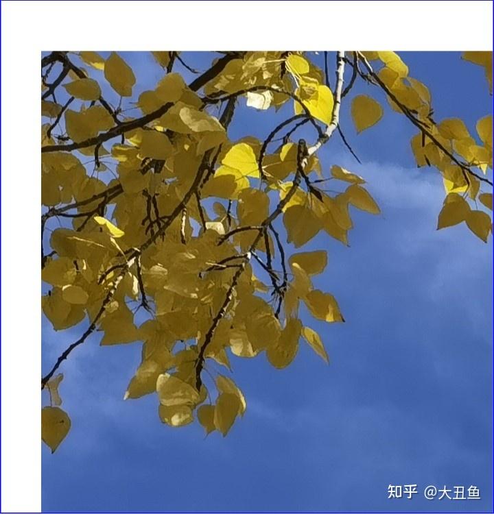 鸿蒙App开发-图片编辑-使用PixelMap完成图像变换 - 知乎