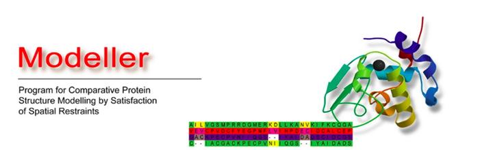 MODELLER初级教程中译 - 知乎