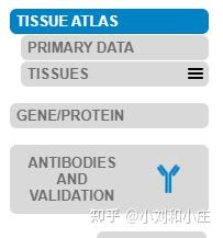 不做实验产数据：THE HUMAN PROTEIN ATLAS - 知乎