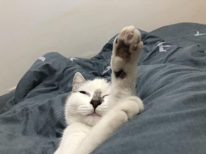 msfconsole 基础使用方法 - 知乎