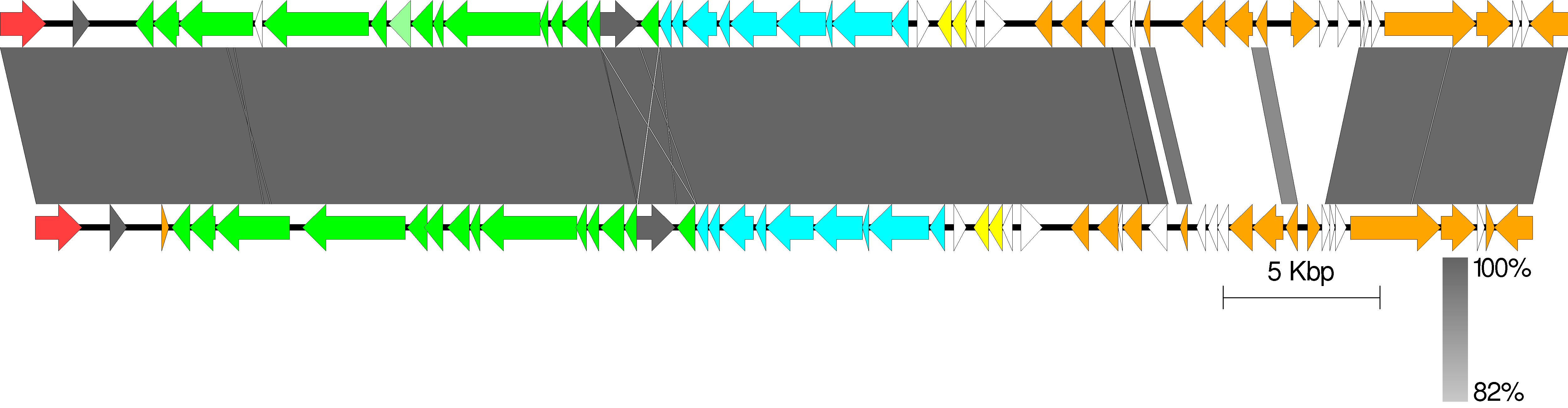 Easyfig怎么使用? - 知乎