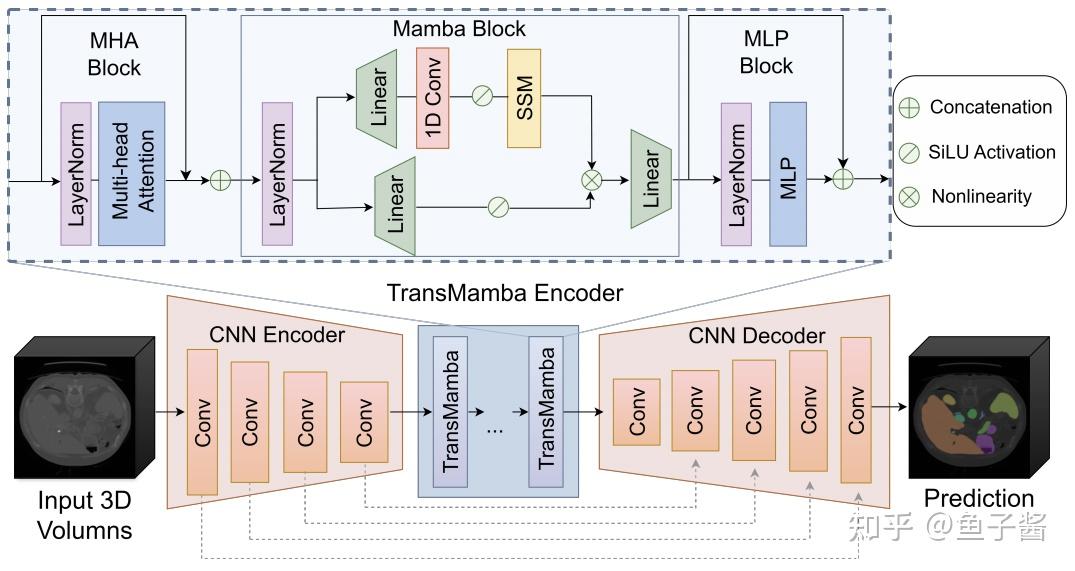 CNN+Mamba+UNet，“三巨头” 合体！ - 知乎