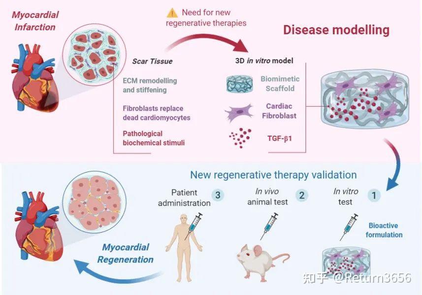 现在很多sci的期刊都需要Graphical Abstract，如何制作？ - 知乎