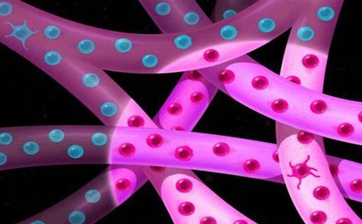 Sci Immu | 哈佛院士解析免疫细胞从肠道迁移的动态图谱 - 知乎