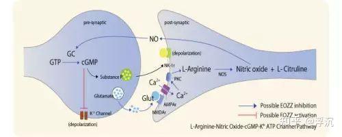 SCI论文投稿图文摘要（Graphical Abstract） 制作技巧 - 知乎