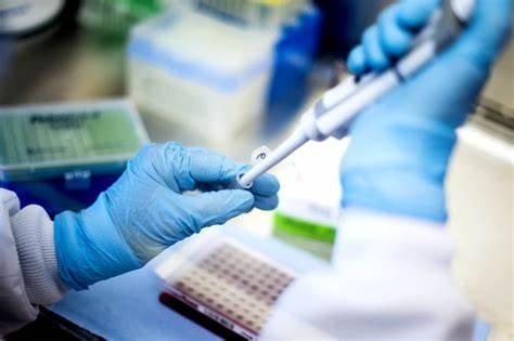 CAST PCR技术 - 知乎