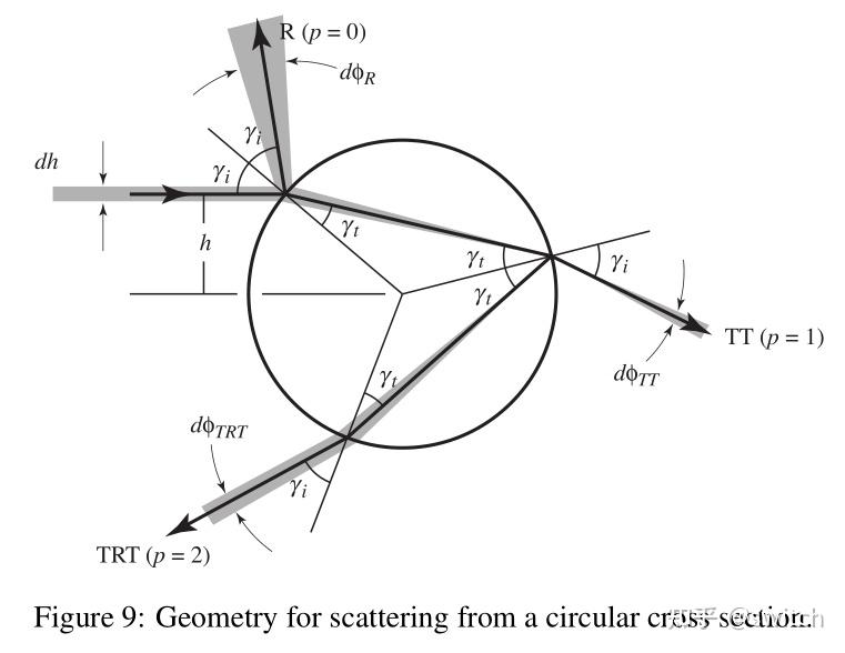 Marschner Hair Model论文细读与推导 - 知乎