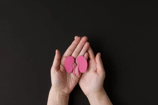 SCI论文官网：NEPHROLOGY DIALYSIS TRANSPLANTATION - 知乎