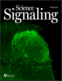 Science子刊，IF9.714，中科院1区TOP期刊，自引率低，无需版面费！ - 知乎