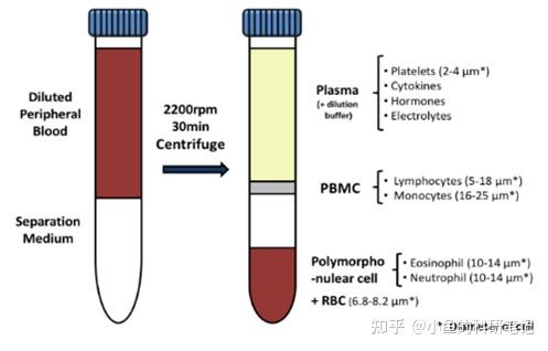 人类PBMC的来源和组成 - 知乎