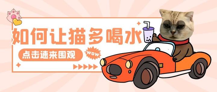 如何让猫多喝水？ 知乎