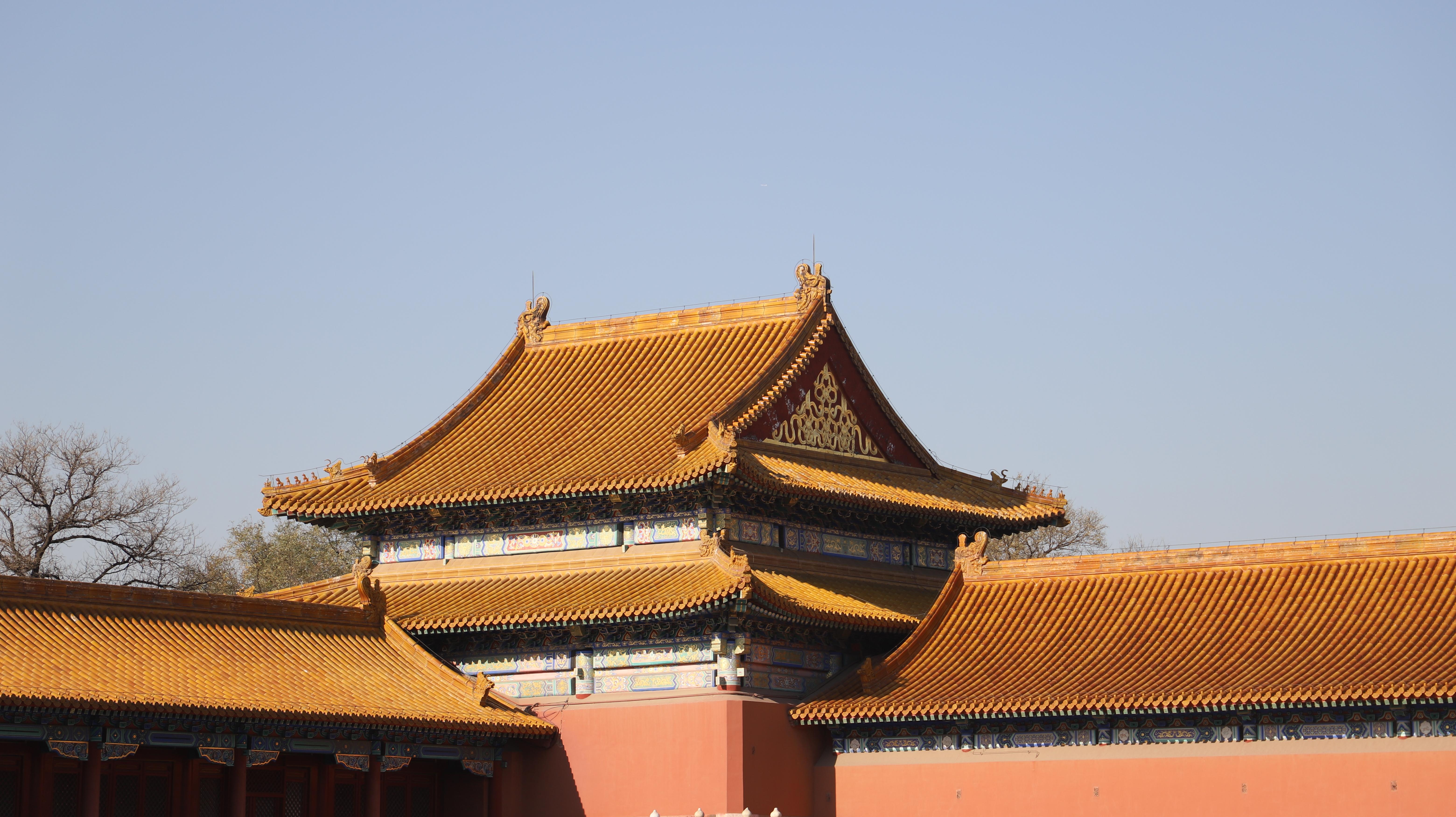 webpack4升级webpack5问题集 - 知乎