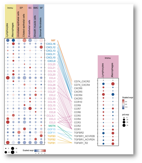 复现Science图表：细胞通讯受配体配对连线表达图（cellchat、cellphonedb） - 知乎