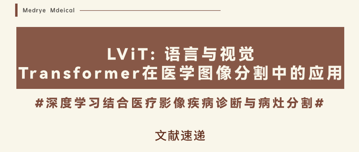 LViT: 语言与视觉Transformer在医学图像分割中的应用| 文献速递-深度学习结合医疗影像疾病诊断与病灶分割 - 知乎