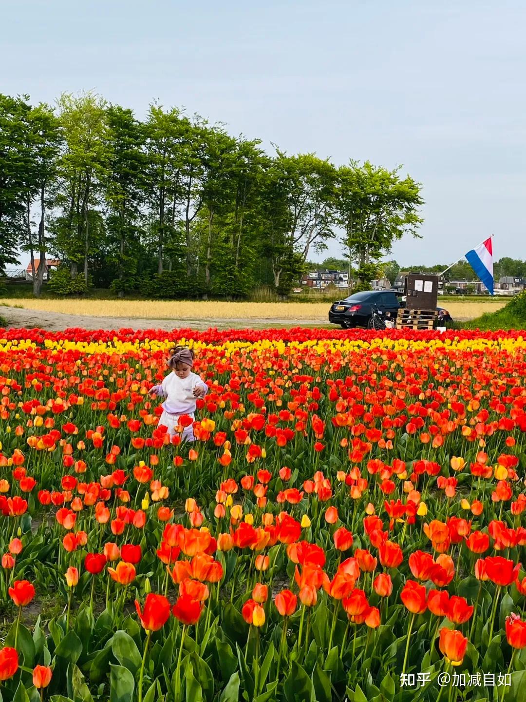 你适合荷兰留学吗？荷兰留学工作超全资源整合 - 知乎