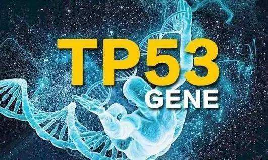 肿瘤医生应该知道的生物标志物之：TP53基因突变，17p片段缺失 - 知乎