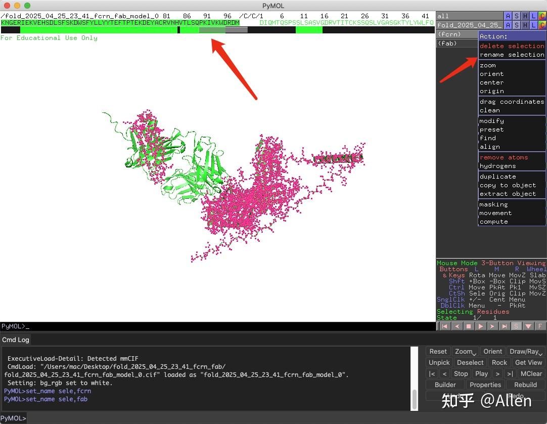 AlphaFold(α-fold)预测蛋白结构及其可视化（pymol）小白教程 - 知乎