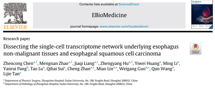 文献解读 | eBioMedicine ：剖析食管非恶性组织和食管鳞状细胞癌的单细胞转录组网络 - 知乎