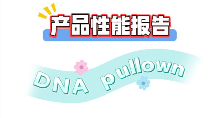 DNA-pulldown-Kit(IEMed-K304) - 知乎
