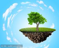 Biome-BGC生态系统模型解析 - 知乎