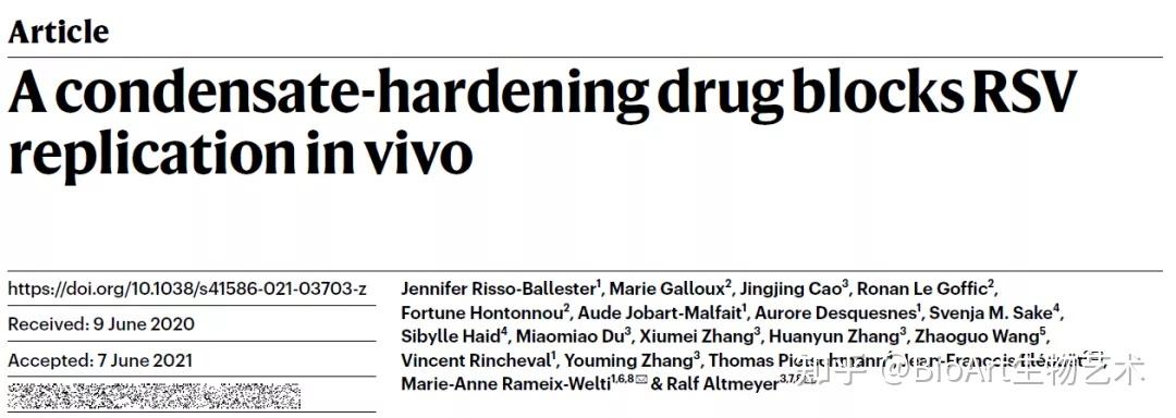 Nature | 山东大学Ralf Altmeyer组等报道小分子促进相分离抑制病毒复制 - 知乎