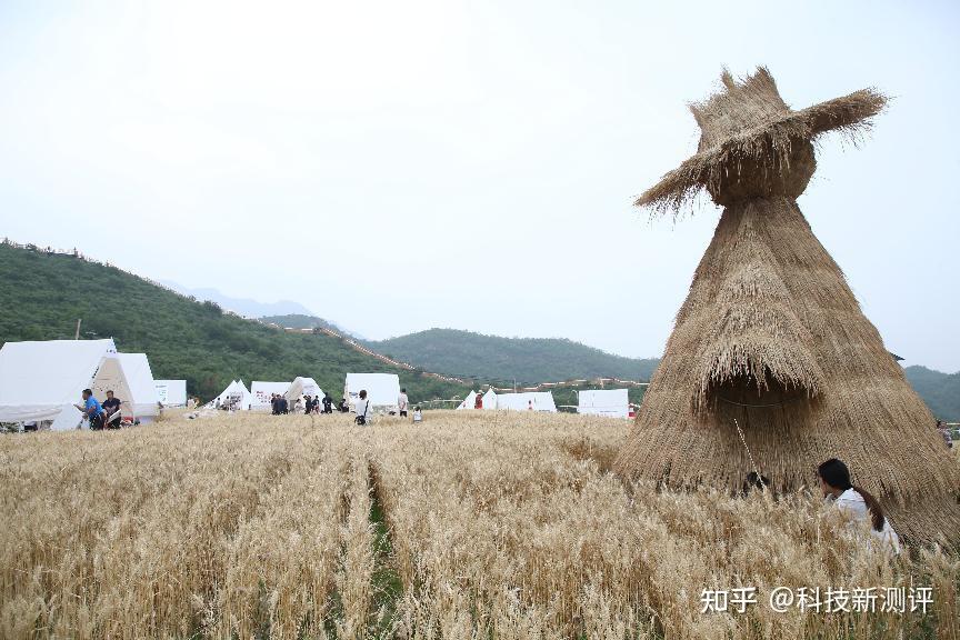 与ROBAE福琛共赴夏夜：在溜石港听见麦田的心跳 - 知乎