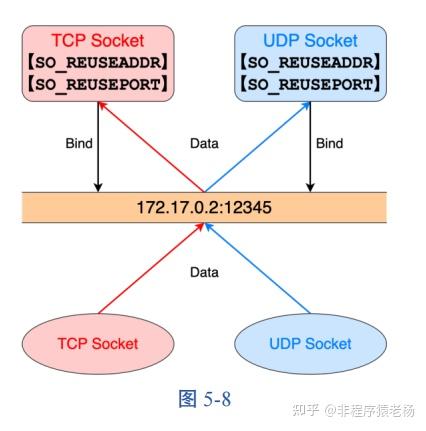 字节一面：TCP 和 UDP 可以使用同一个端口吗？