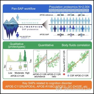 蛋白组 | Cell.Genom | 揭示群体蛋白质组学中的暗物质：与认知和衰老相关的单氨基酸多态性的全景分析 - 知乎