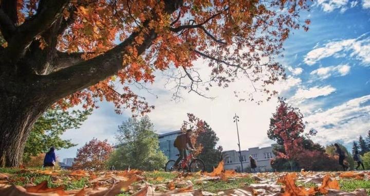 加拿大，枫叶之国 - 知乎