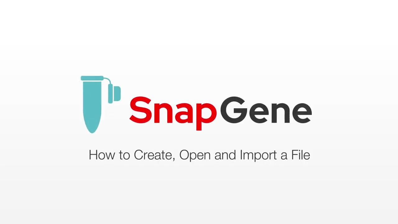 SnapGene 初学者指南 | 如何创建、打开、导入文件 - 知乎