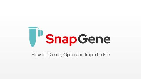 SnapGene 初学者指南 | 如何创建、打开、导入文件 - 知乎