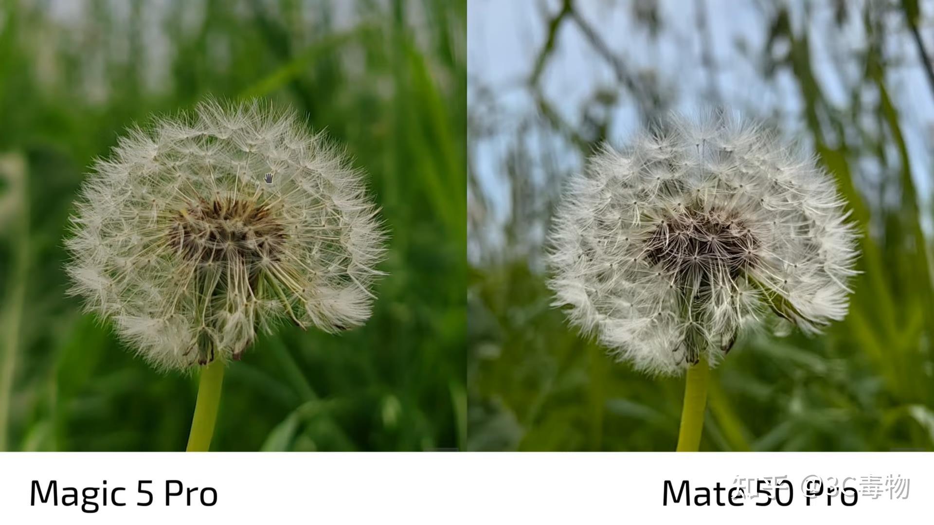 华为Mate50Pro和荣耀Magic5Pro实拍对比：都是5000万主摄差距贼大 - 知乎