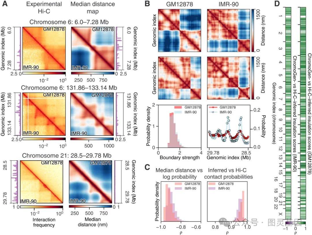 Sci Adv | 生成式AI模型ChromoGen快速预测单细胞染色质构象 - 知乎