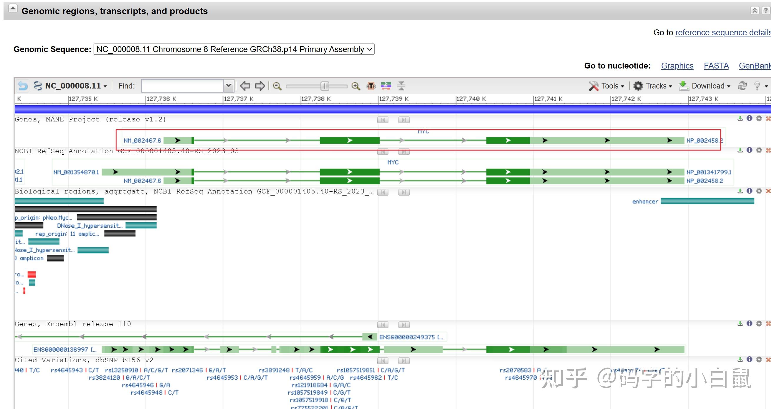 如何快速查看ncbi或者ensembl上的编码基因是处于正链上还是反链上？只能下载RNA然后去比吗？ - 知乎
