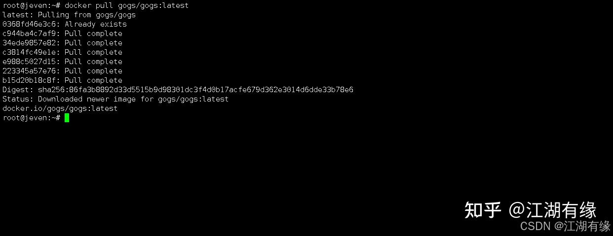【Docker项目实战】使用Docker部署Git服务器Gogs - 知乎