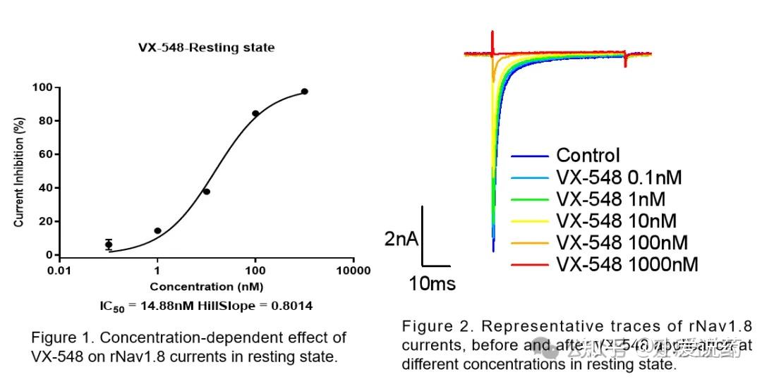离子通道研究案例分享: VX-548的体外研究 - 知乎