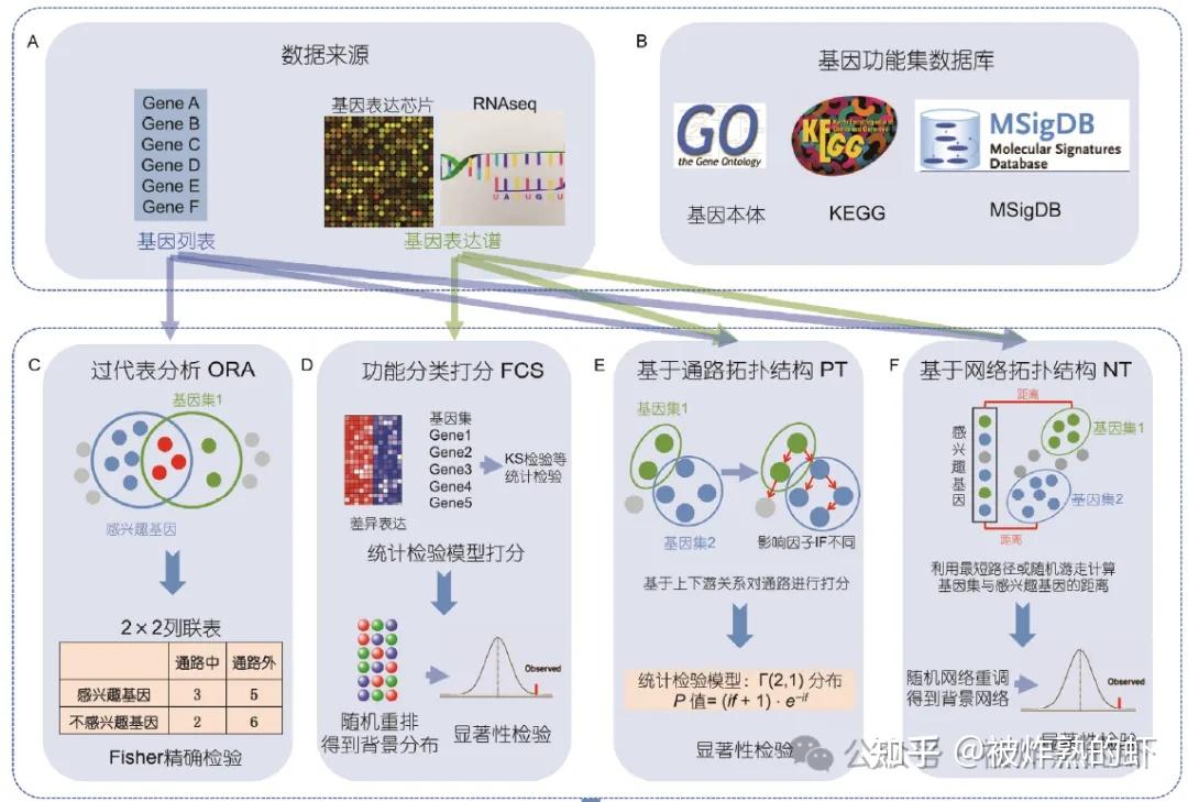 bulk RNA-seq | 下游分析 | 功能富集分析 ORA - clusterProfiler - 知乎