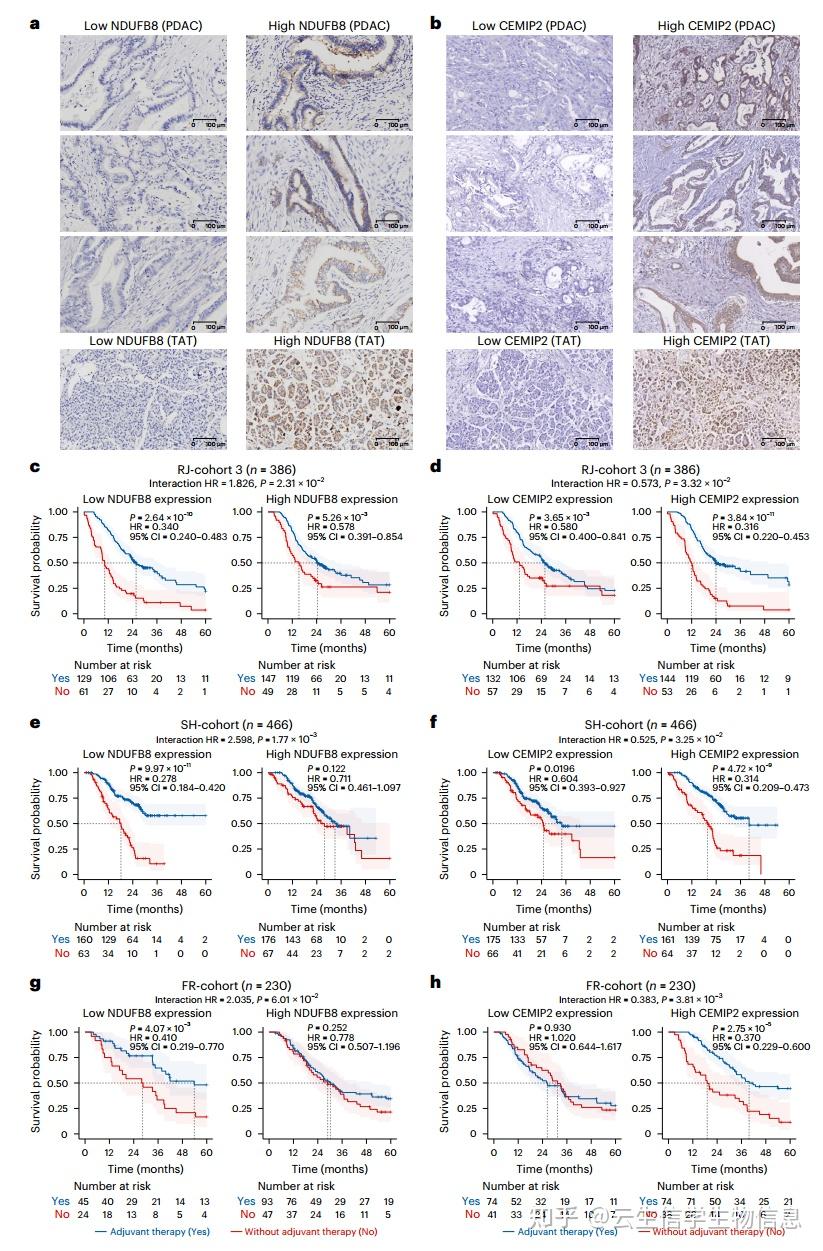 这泼天的富贵！蛋白质组学+预后模型拿下了82分+Nature顶级大子刊 - 知乎