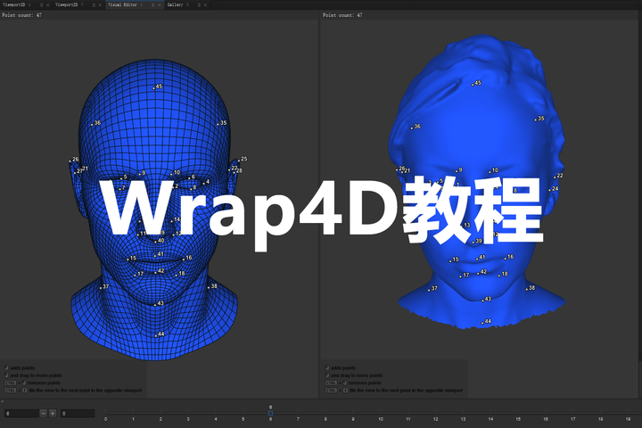 Wrap4D教程—基本操作 - 知乎